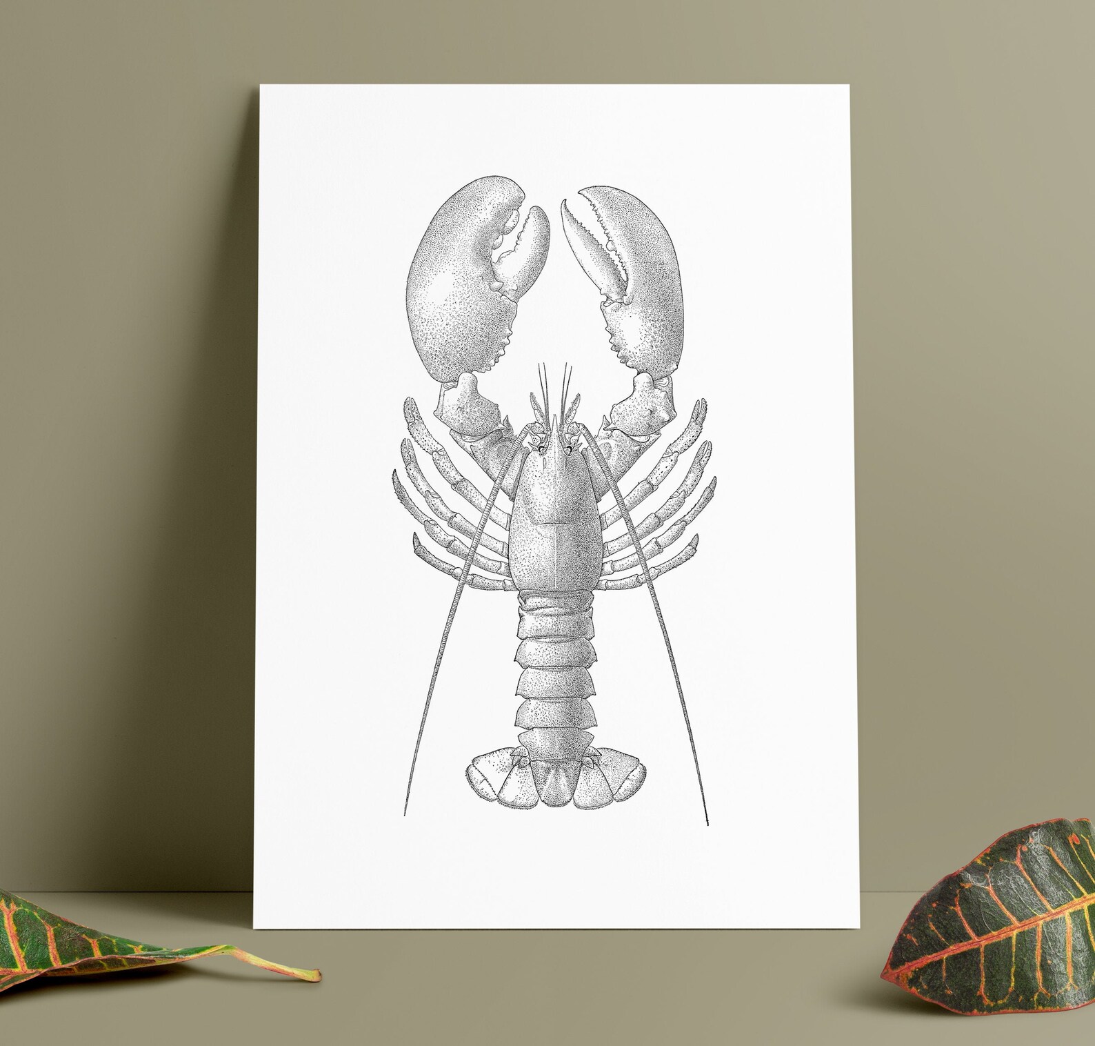 Vintage Art | Lobster Drawing From 1800s | Instant Download | Digital ...