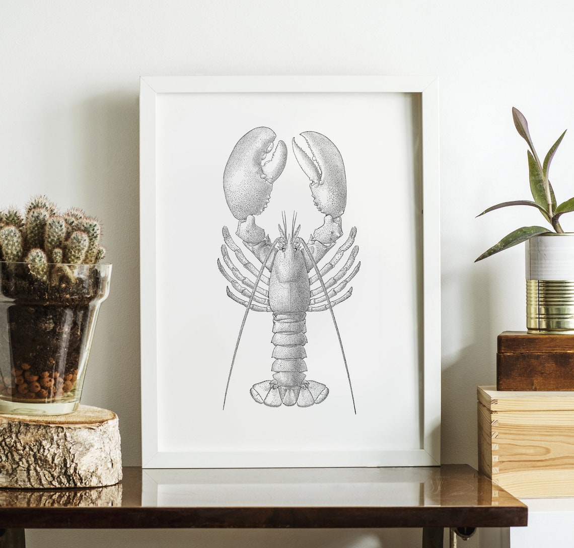 Vintage Art | Lobster Drawing From 1800s | Instant Download | Digital ...