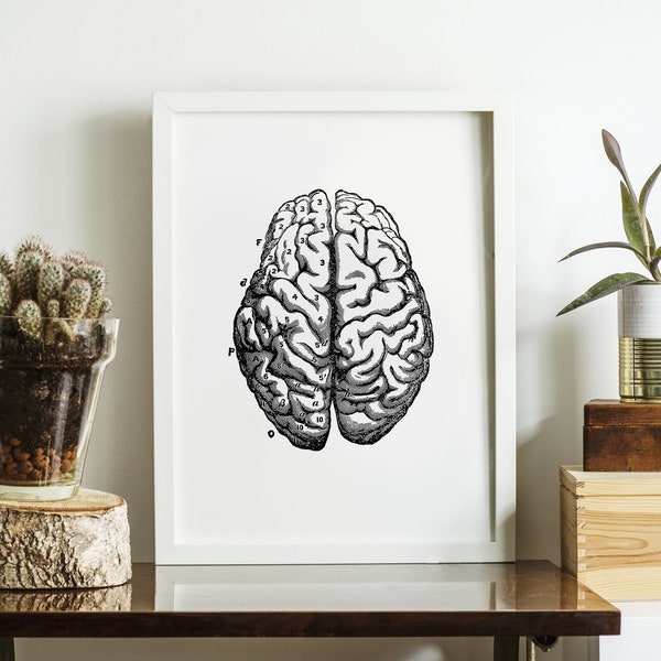 Brain Poster - Etsy