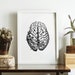 Vintage Brain Anatomy Print | Brain Medical Drawing From 1800s | Brain ...