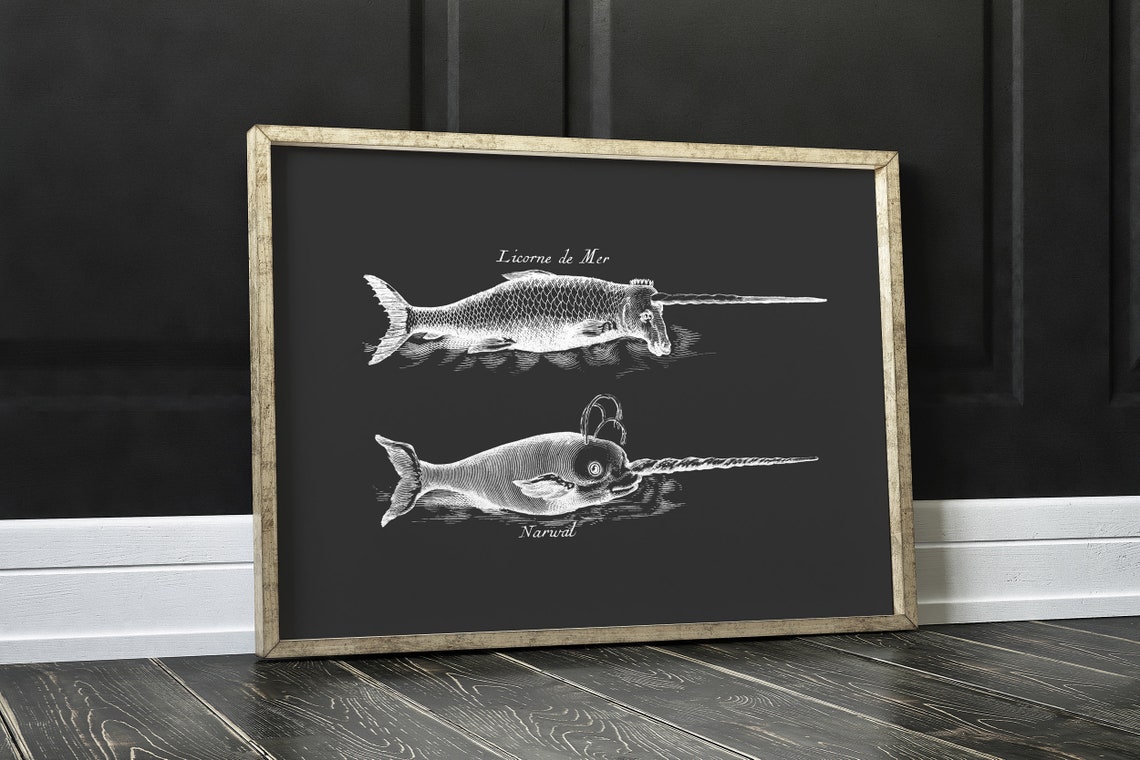 Vintage Narwhal Print Narwhal Poster Unicorn of the Sea - Etsy
