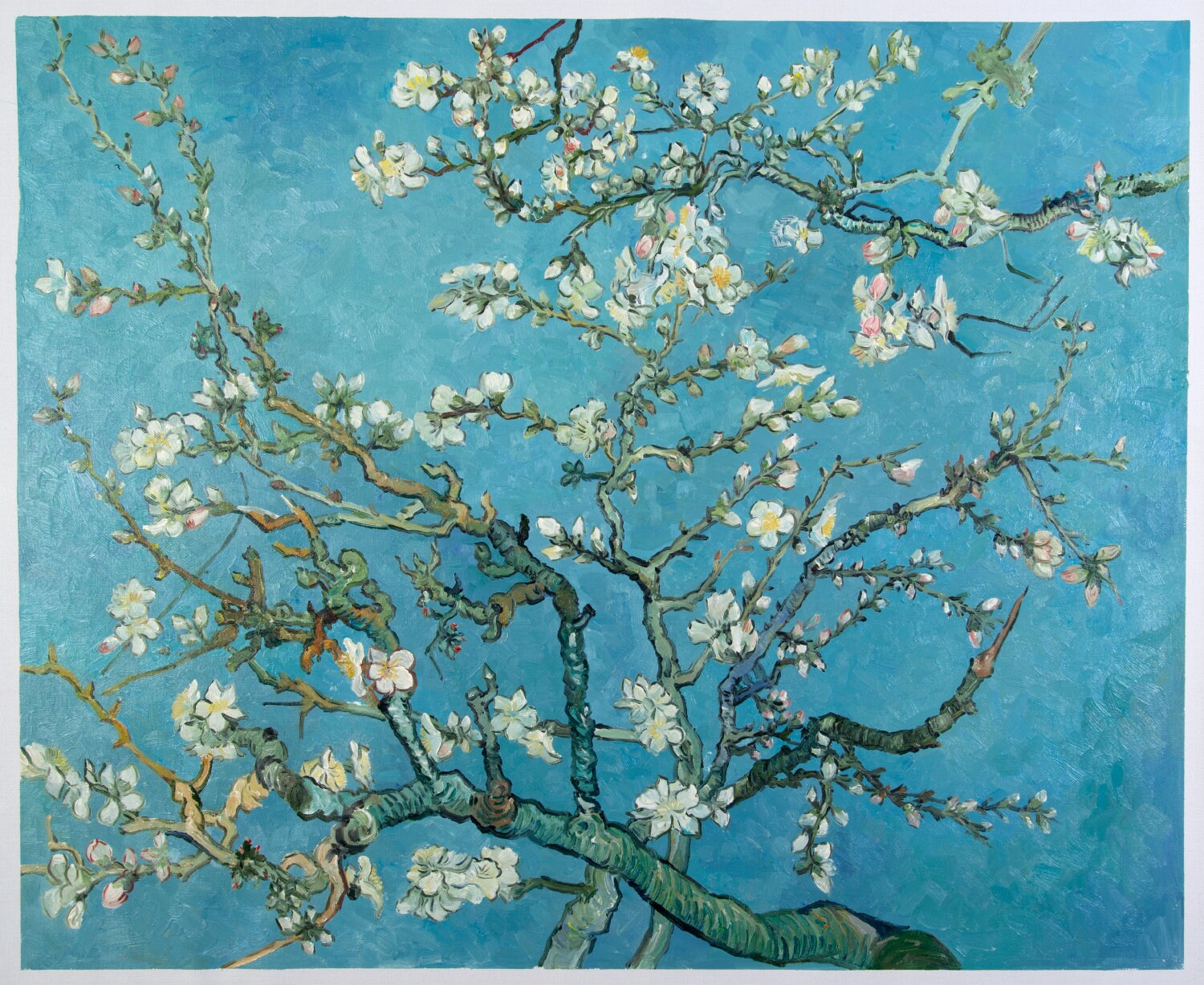 Almond Blossom Van Gogh Canvas