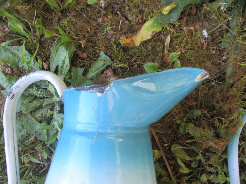 Choose ONE of These French Enamelware BODY Pitchers Graniteware Flowers ...