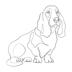 LOGO and Licence FULL Body Any PET Line Drawing, Custom Minimal Logo ...