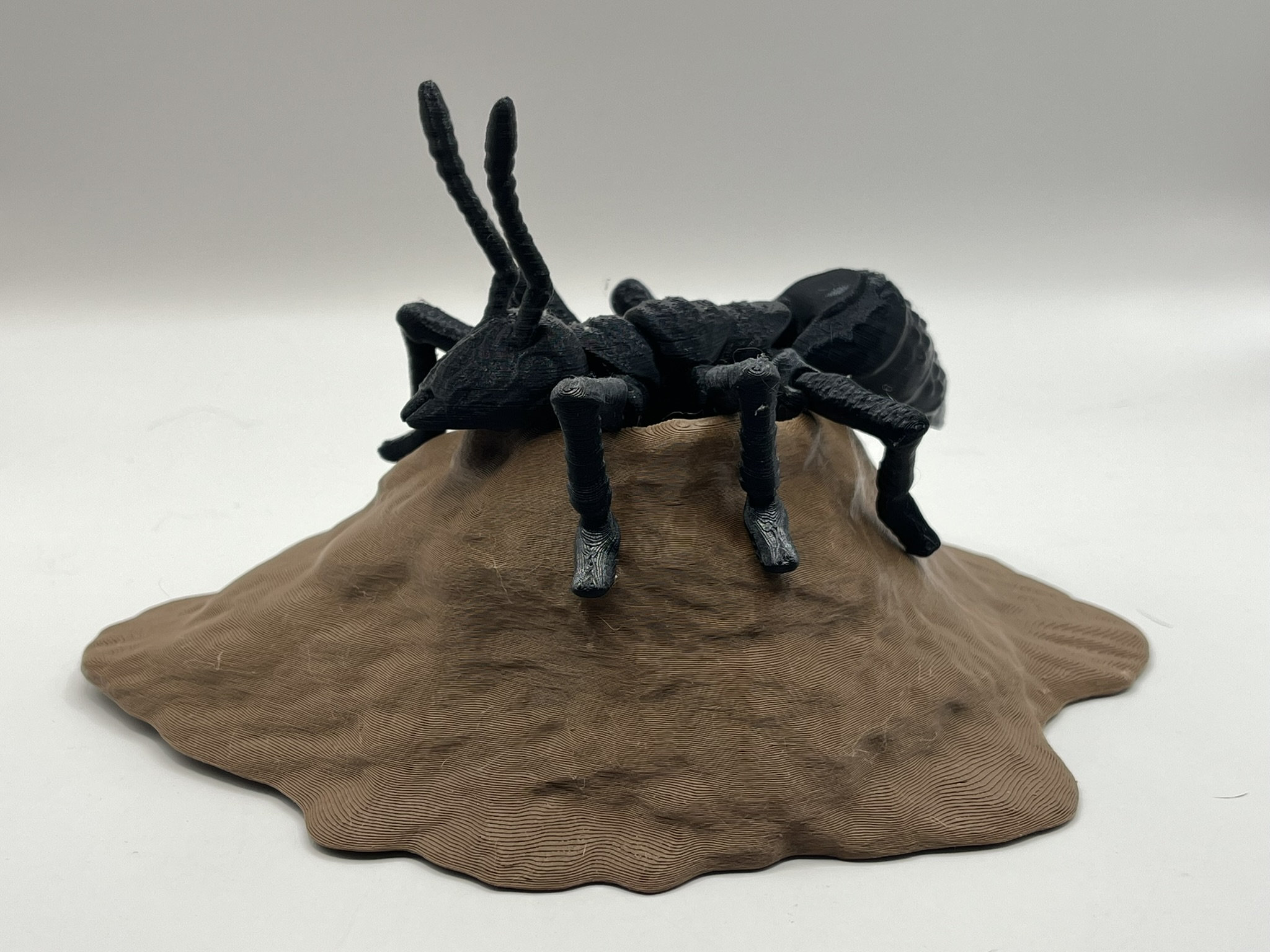 Playful Ant and Ant Hill - Etsy