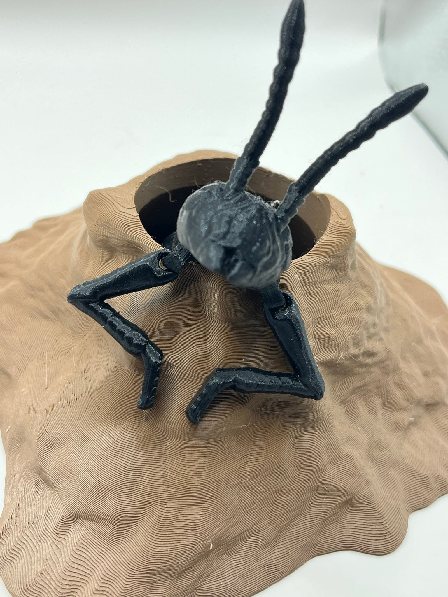 Playful Ant and Ant Hill! - Etsy