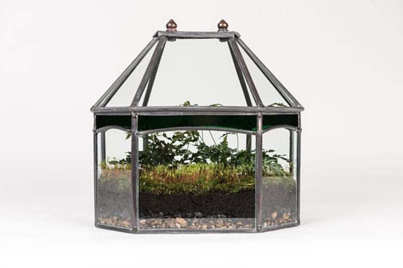 Traditional Terrarium Stained Glass Long Octagonal - Etsy