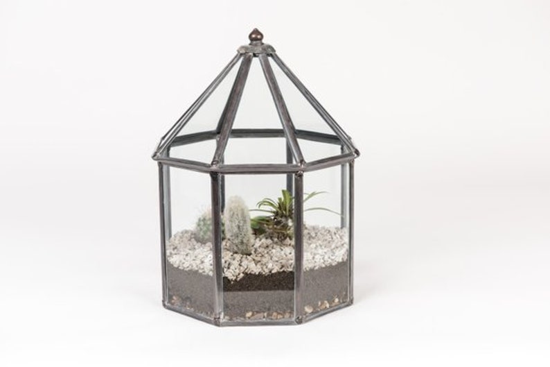 Traditional Terrarium Octagonal - Etsy