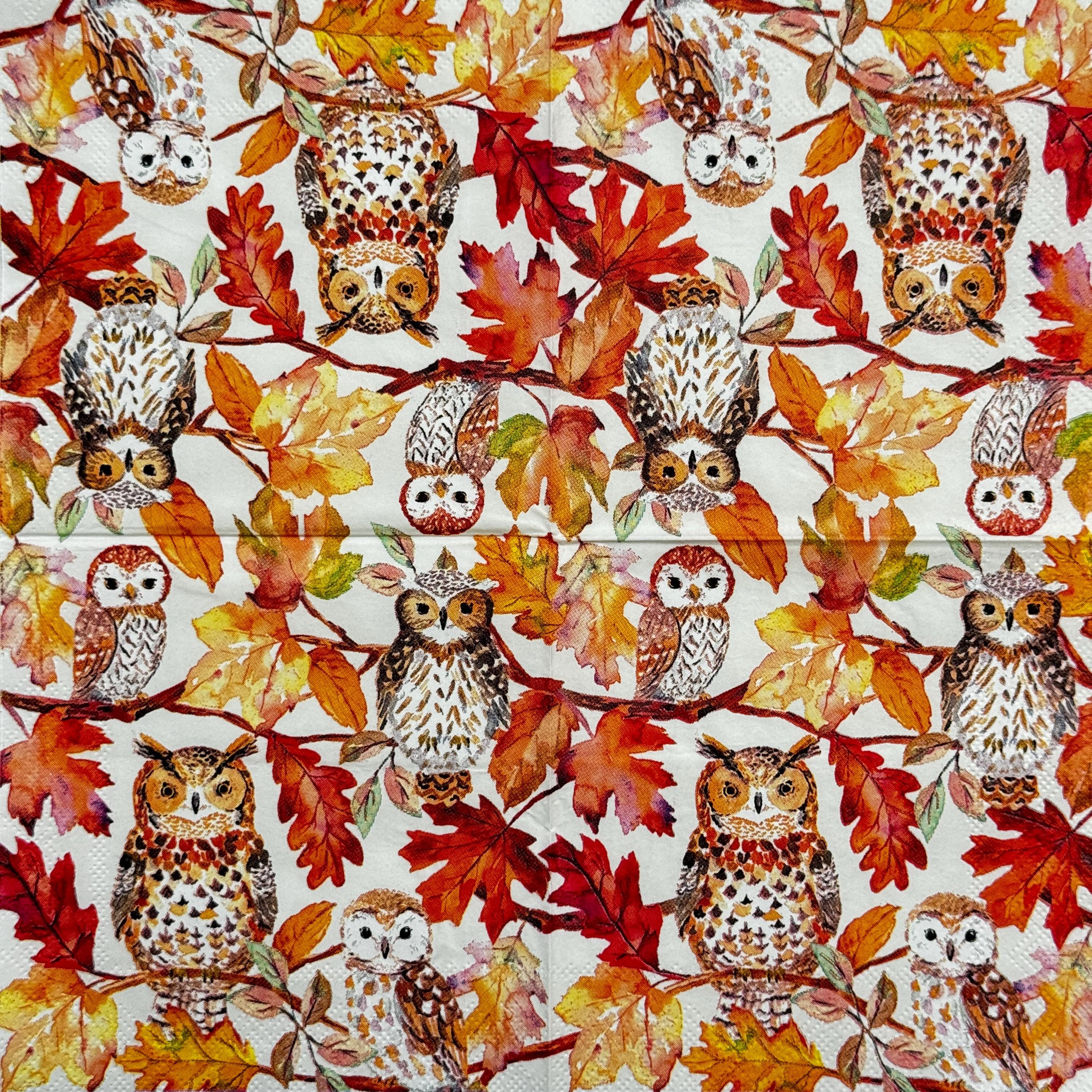 Autumn Owls on Colorful Fall Leaves Paper Napkin for Decoupage ...