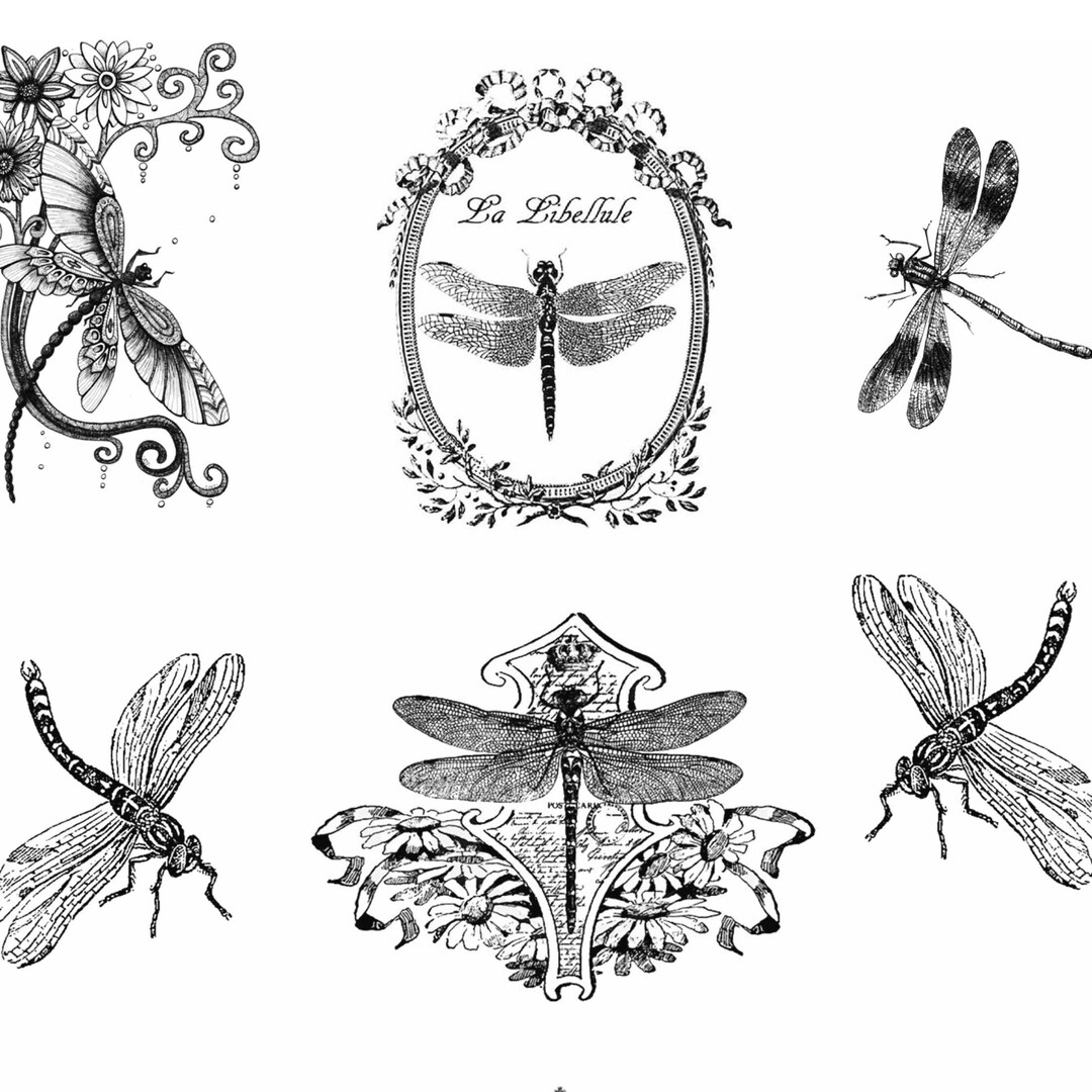 Decoupage Rice Paper Vintage Dragonfly Insect Art French Botanical ...