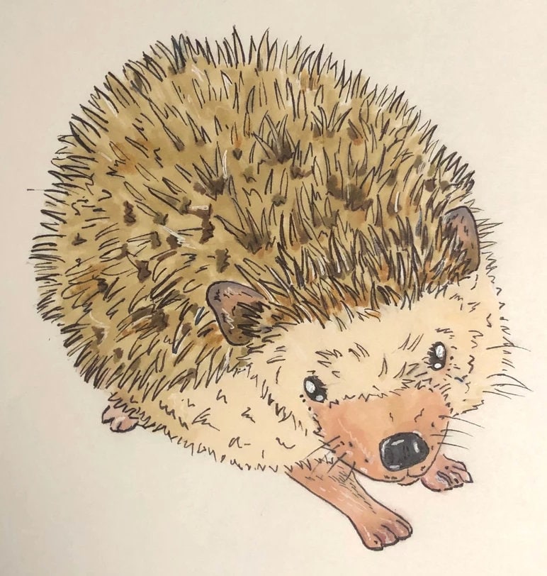 Custom Animal Portrait | Animal Drawing | Wildlife Art | Pet Portrait ...