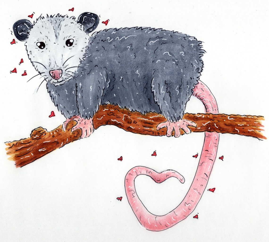 Possum Heart Greeting Card | Valentine's Day | Stationery | Gift for ...