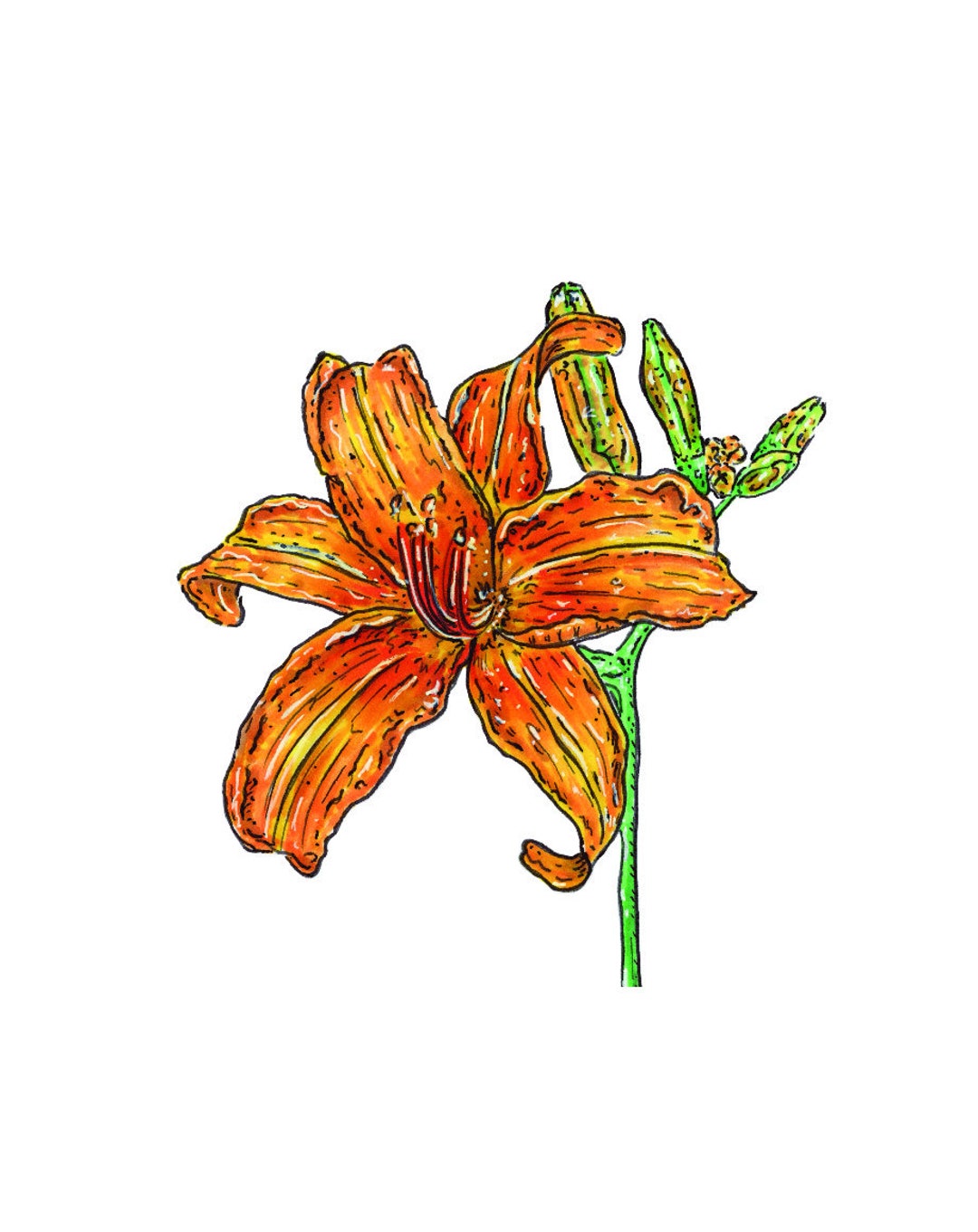 Lily Flower Greeting Card | Mother's Day | Greeting Card | Gift for Her ...