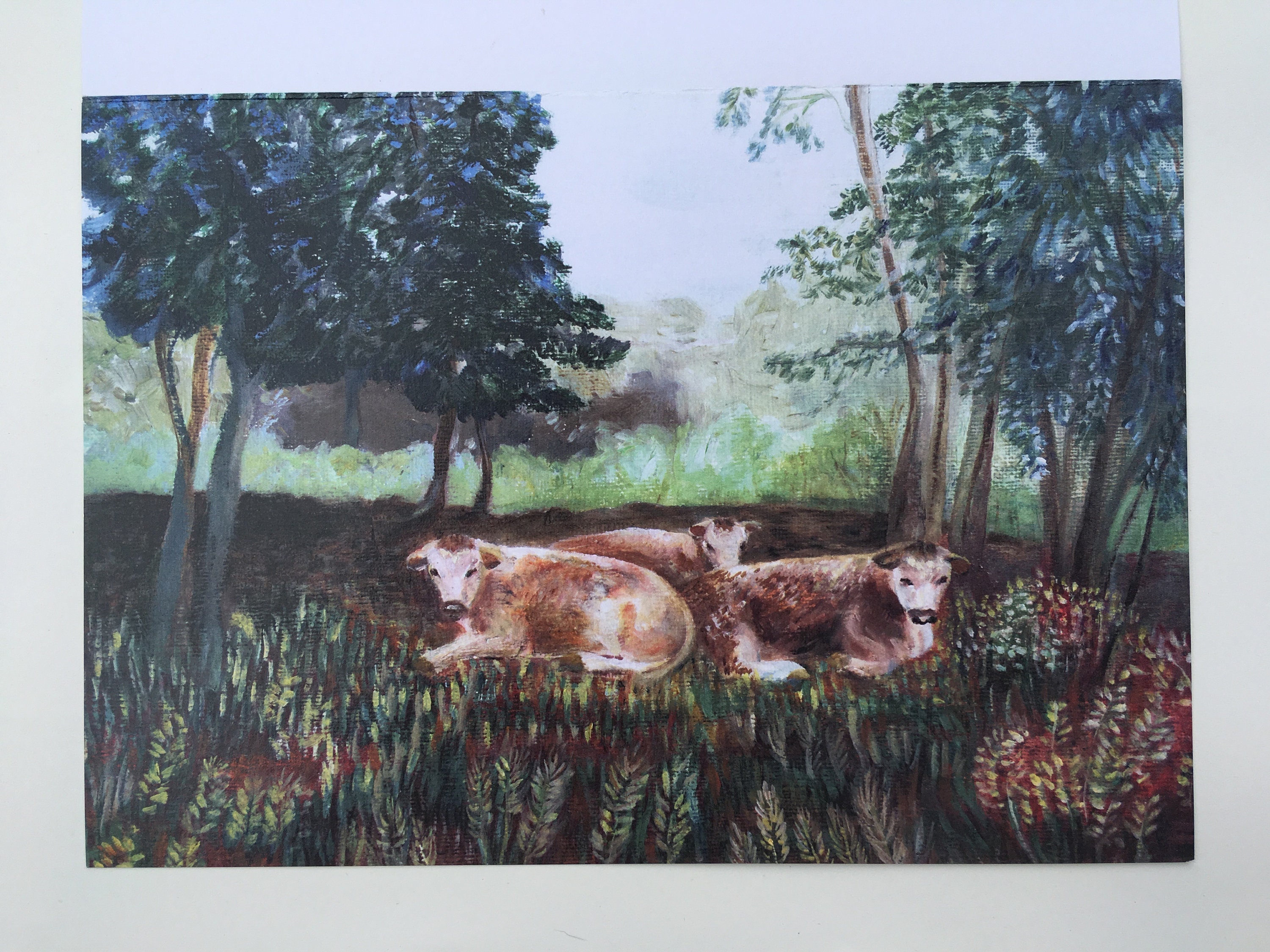 Greetings Card (cows) - Etsy