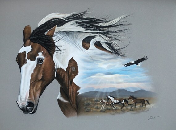 Wild Mustang Horse Drawing