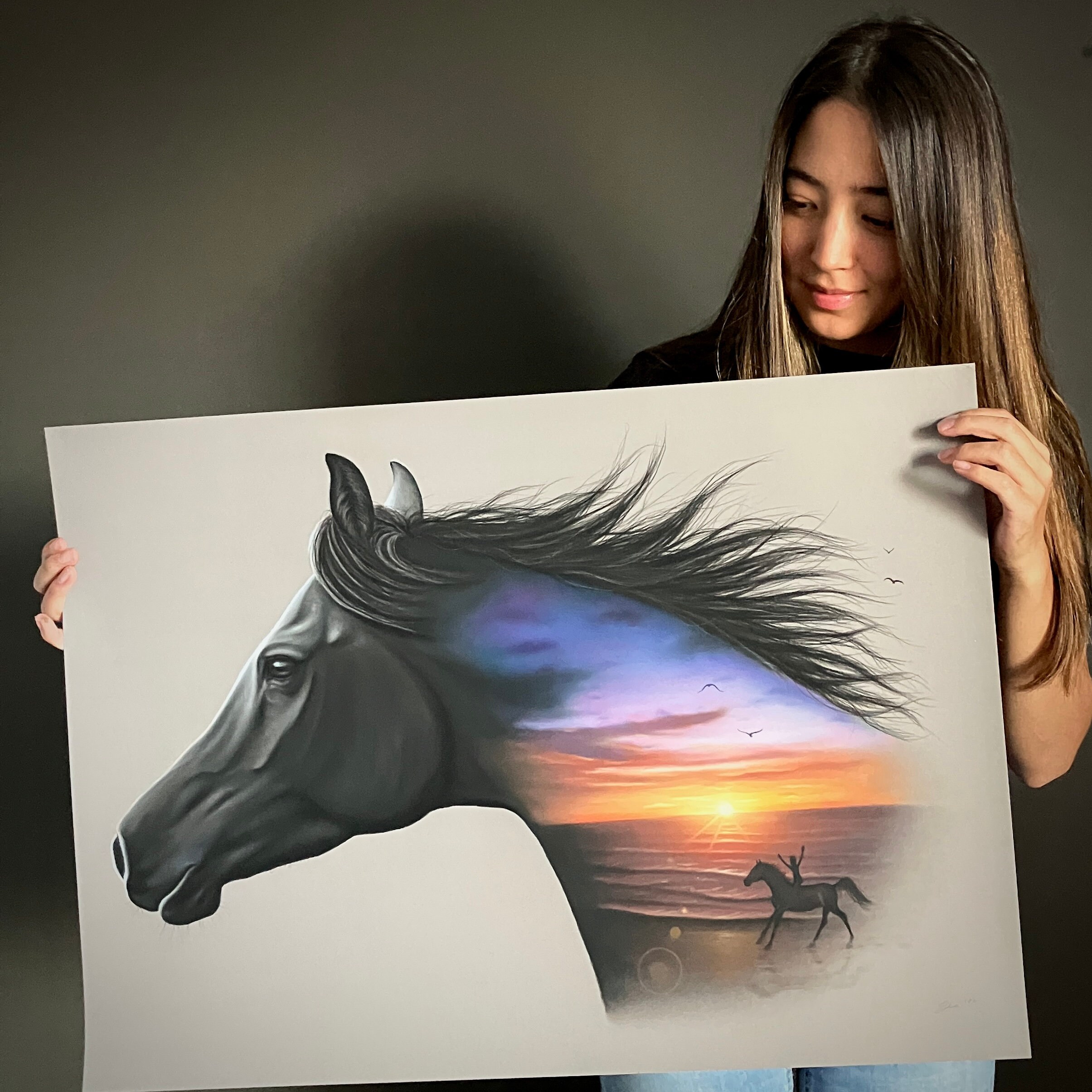 Black Stallion Drawing