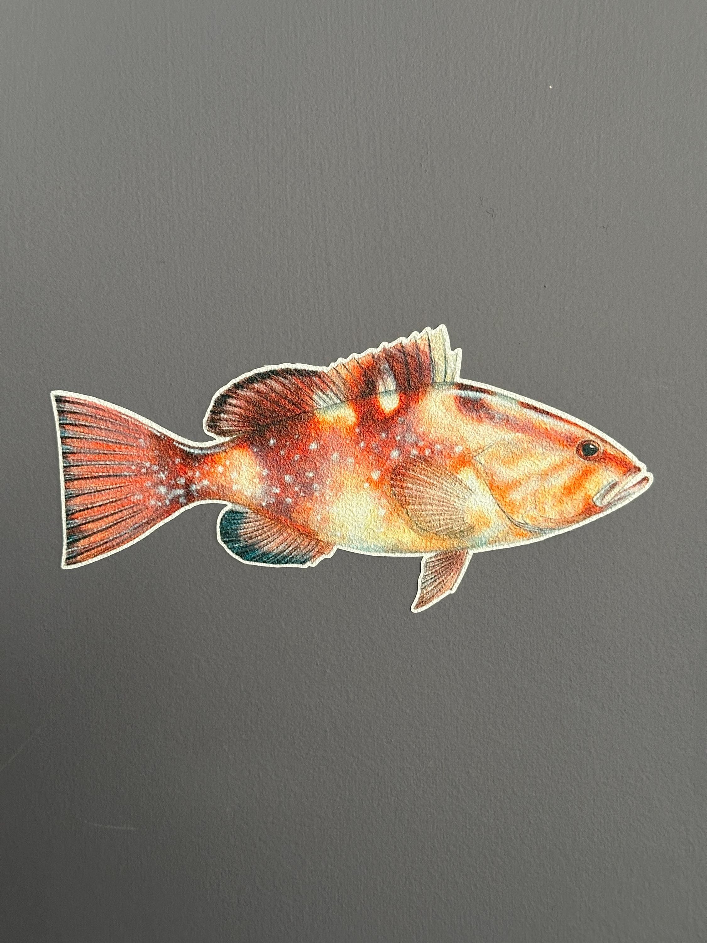 Grouper Fish Decal Textured Slip Resistant Repositionable Removable for ...