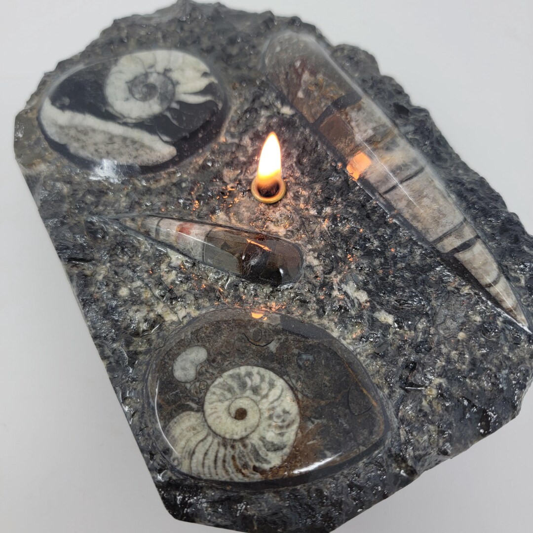 Ammonite & Orthocerus Fossil Rock Candle: Forever Oil Lamp, Refillable ...