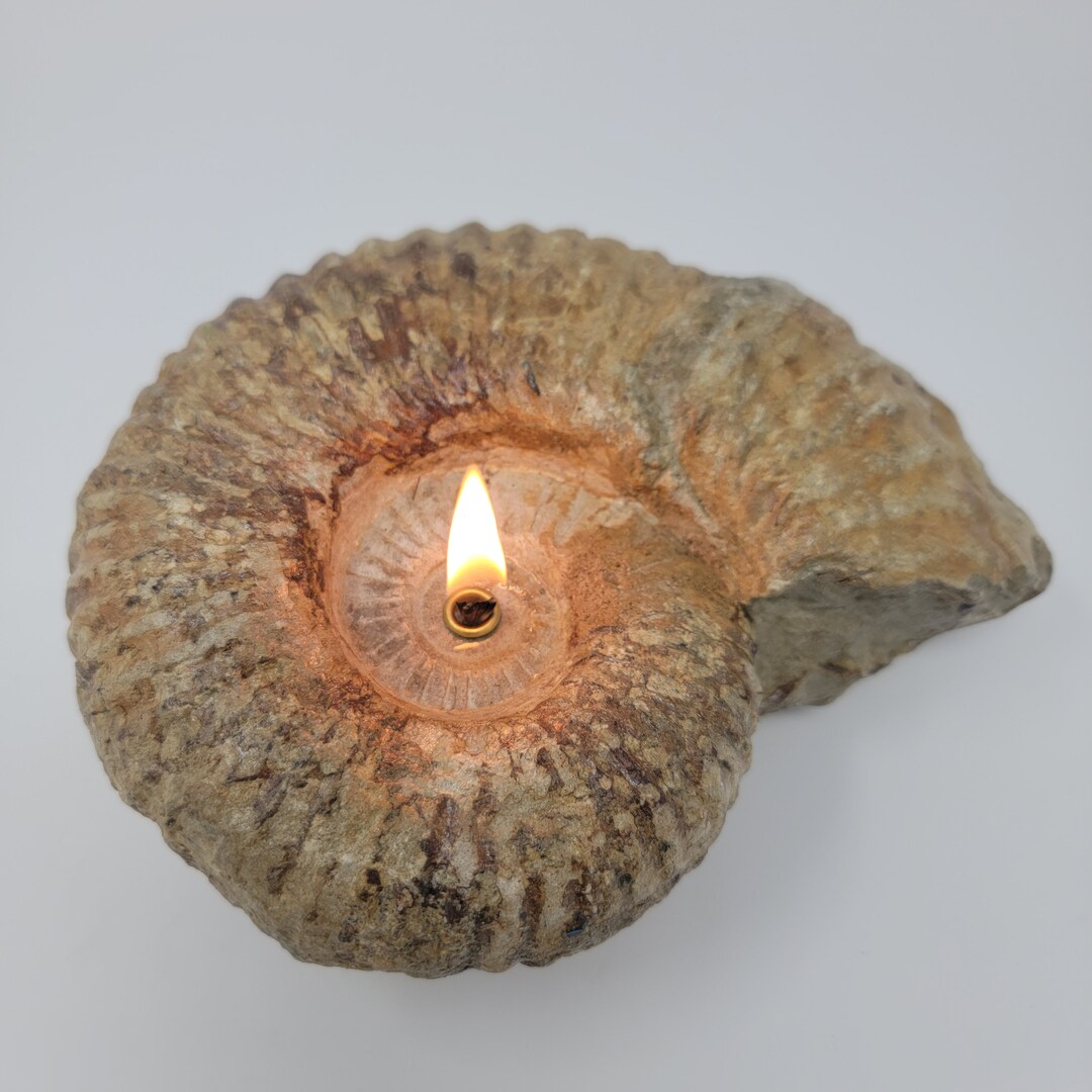 Ammonite Fossil Rock Candle: Forever Oil Lamp, Refillable/scented - Etsy