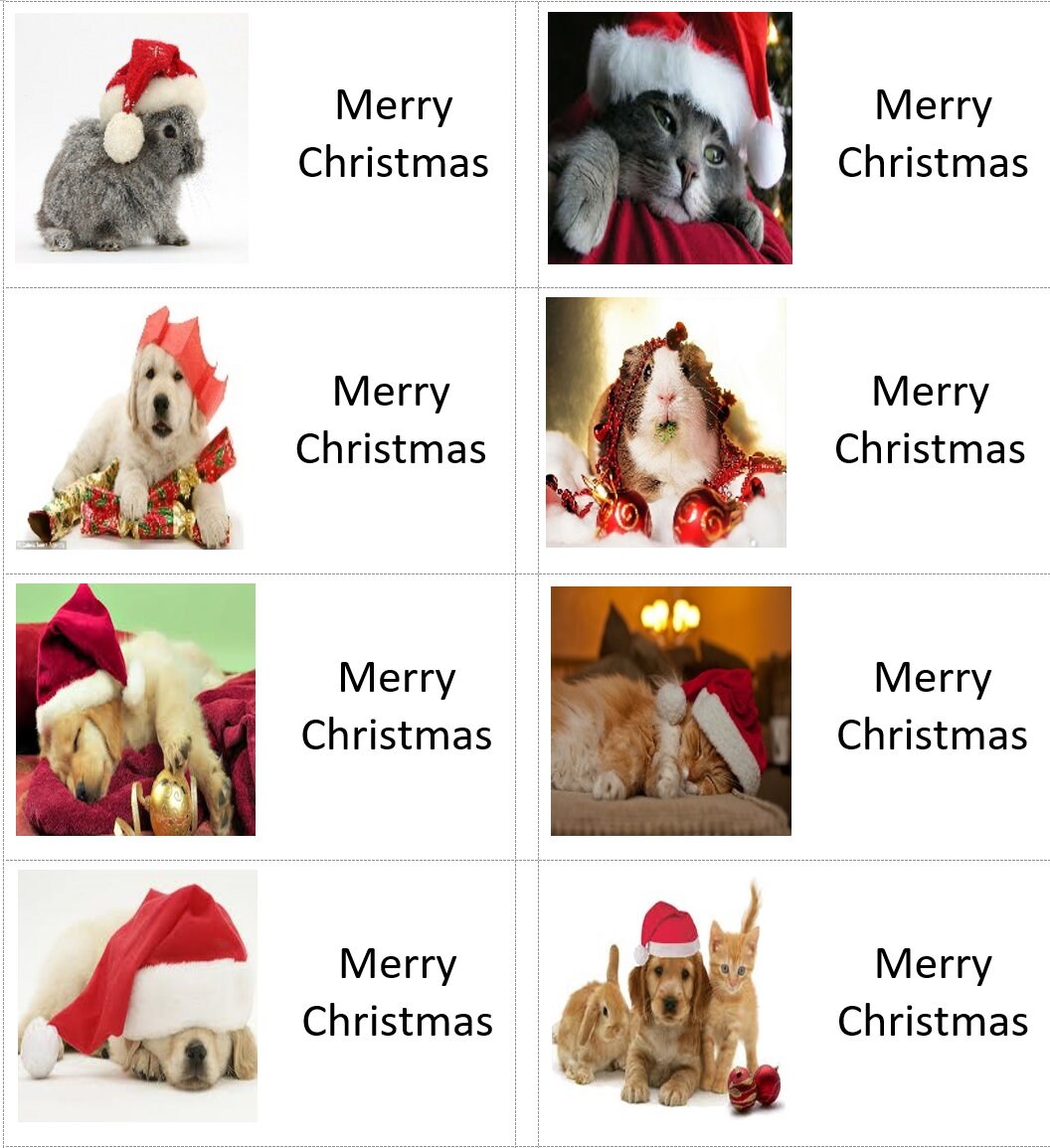 40 x Merry Christmas animal labels/stickers suitable for | Etsy