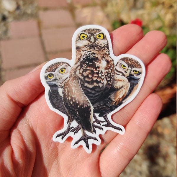Owl Decals - Etsy