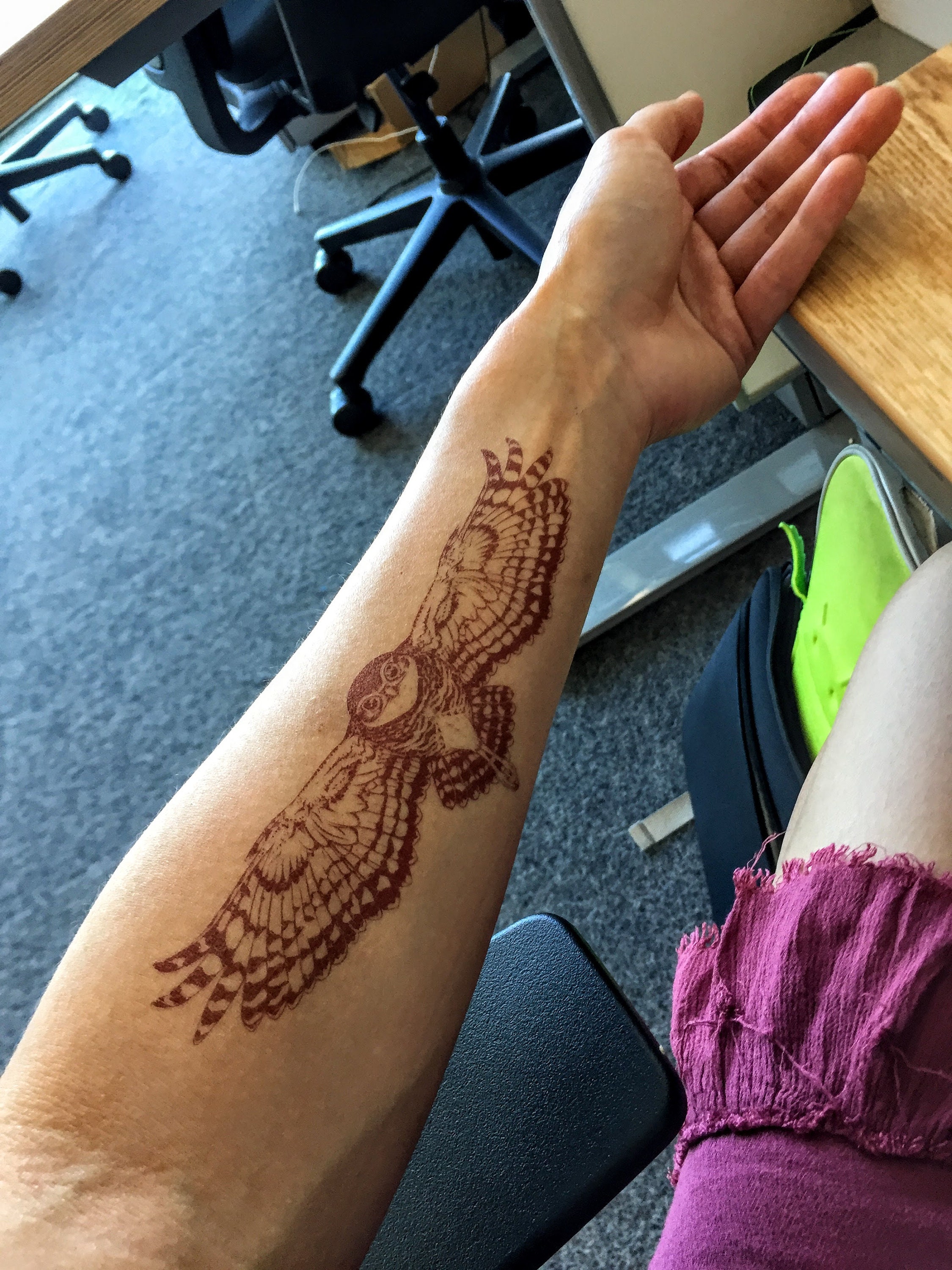 Burrowing Owl Temporary Tattoo (looks Like Henna!) and Comic - Etsy