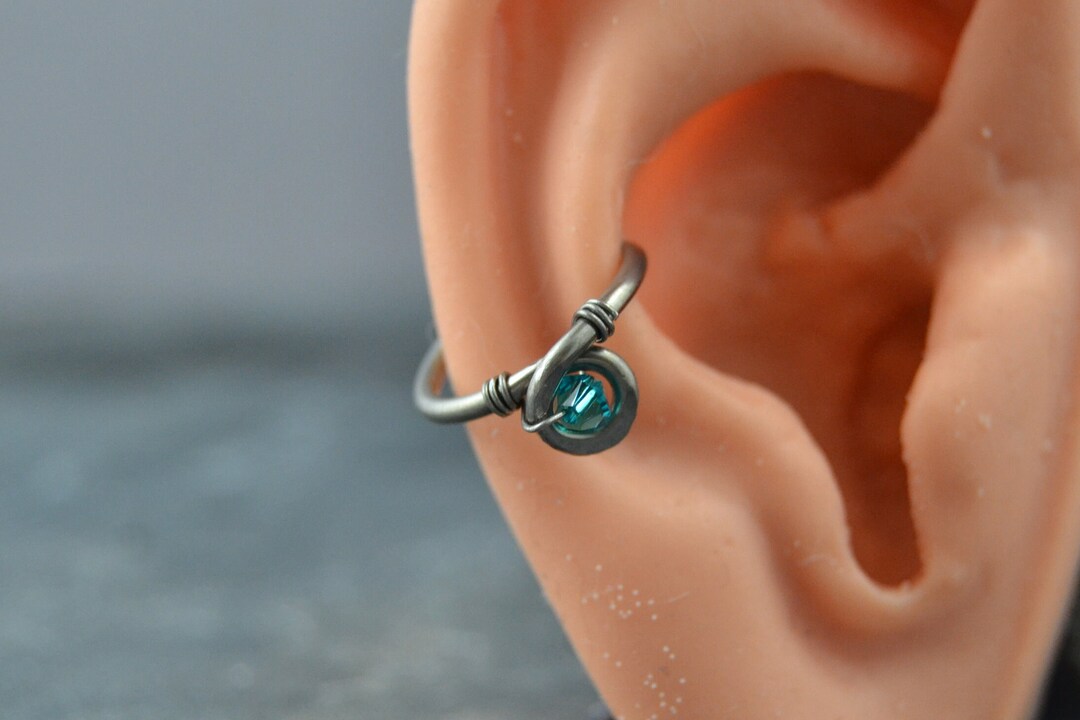 Crystal Loop Niobium Conch Jewelry, Conch Earring, Conch Hoop, Conch ...