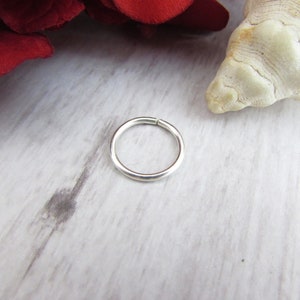 16g Seamless Ring - 11mm 12mm 13mm 14mm 15mm 16mm Nose Ring - Endless ...