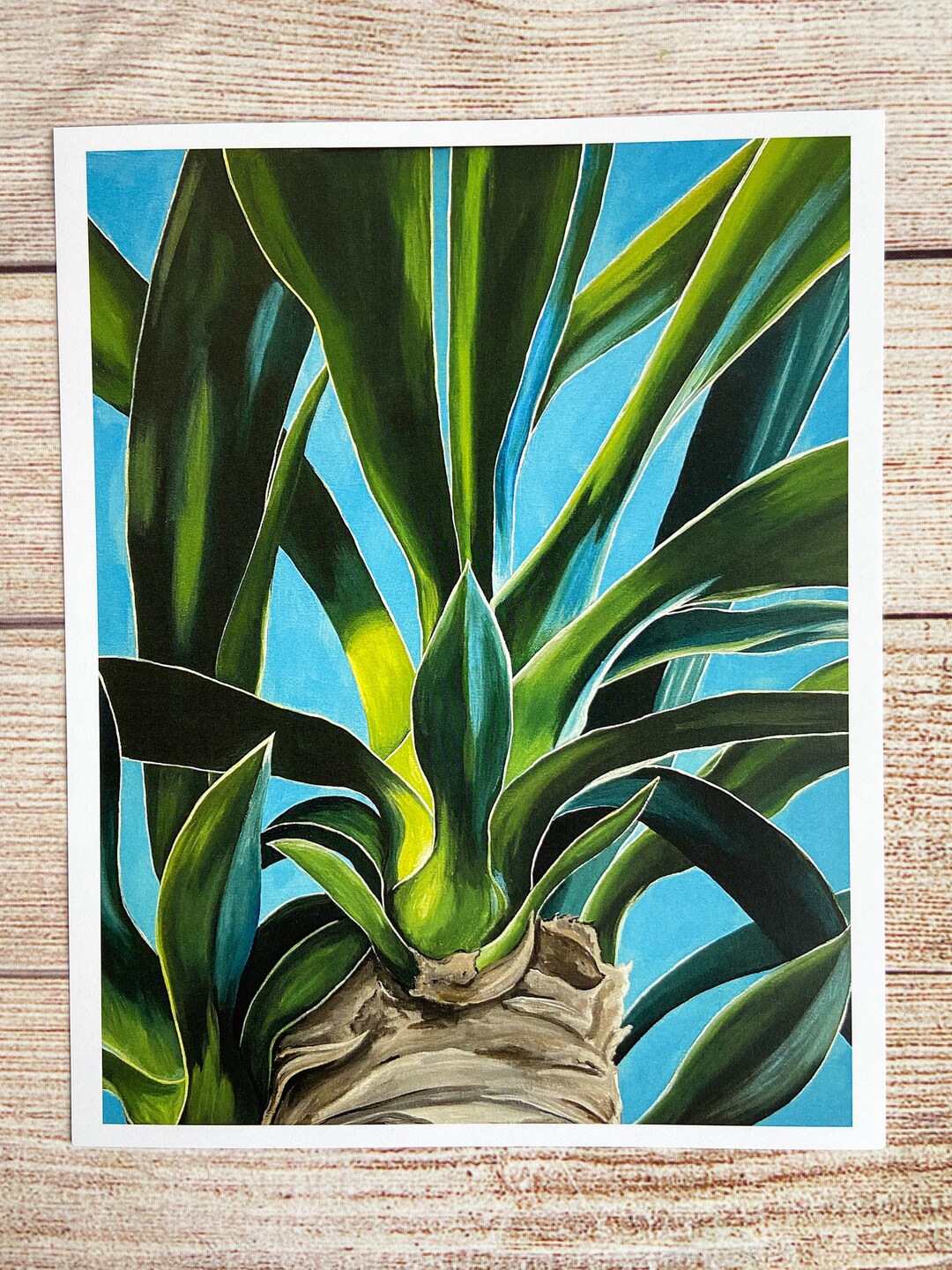 Yucca Art Print - Etsy