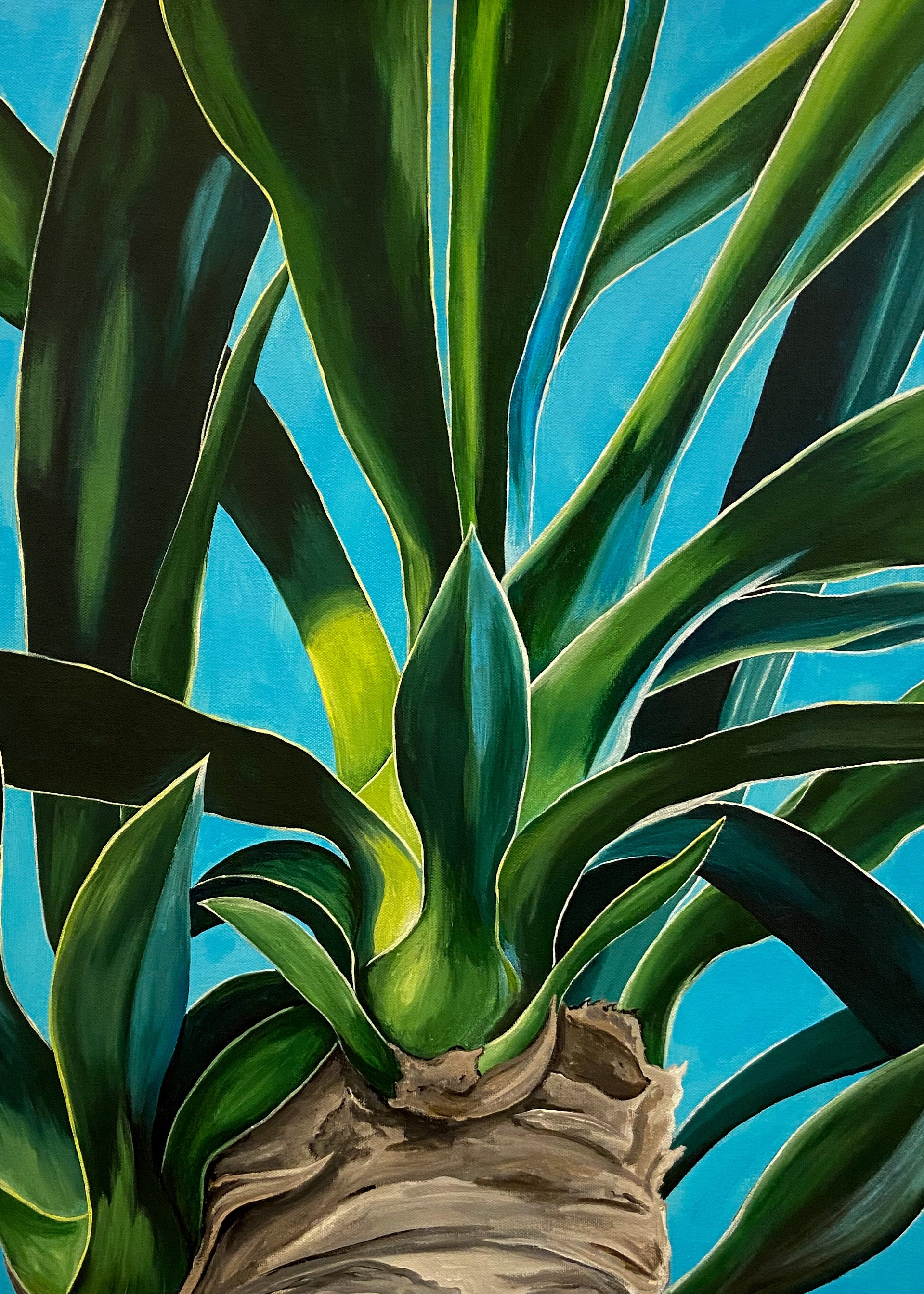 Yucca Art Print - Etsy
