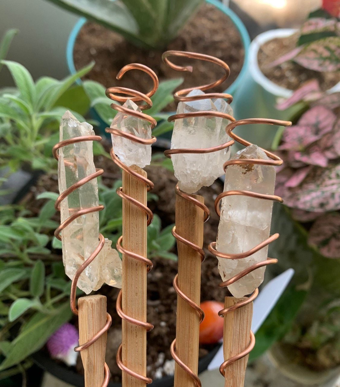 Medium Electroculture Gardening Stakes With Copper and Crystals - Etsy