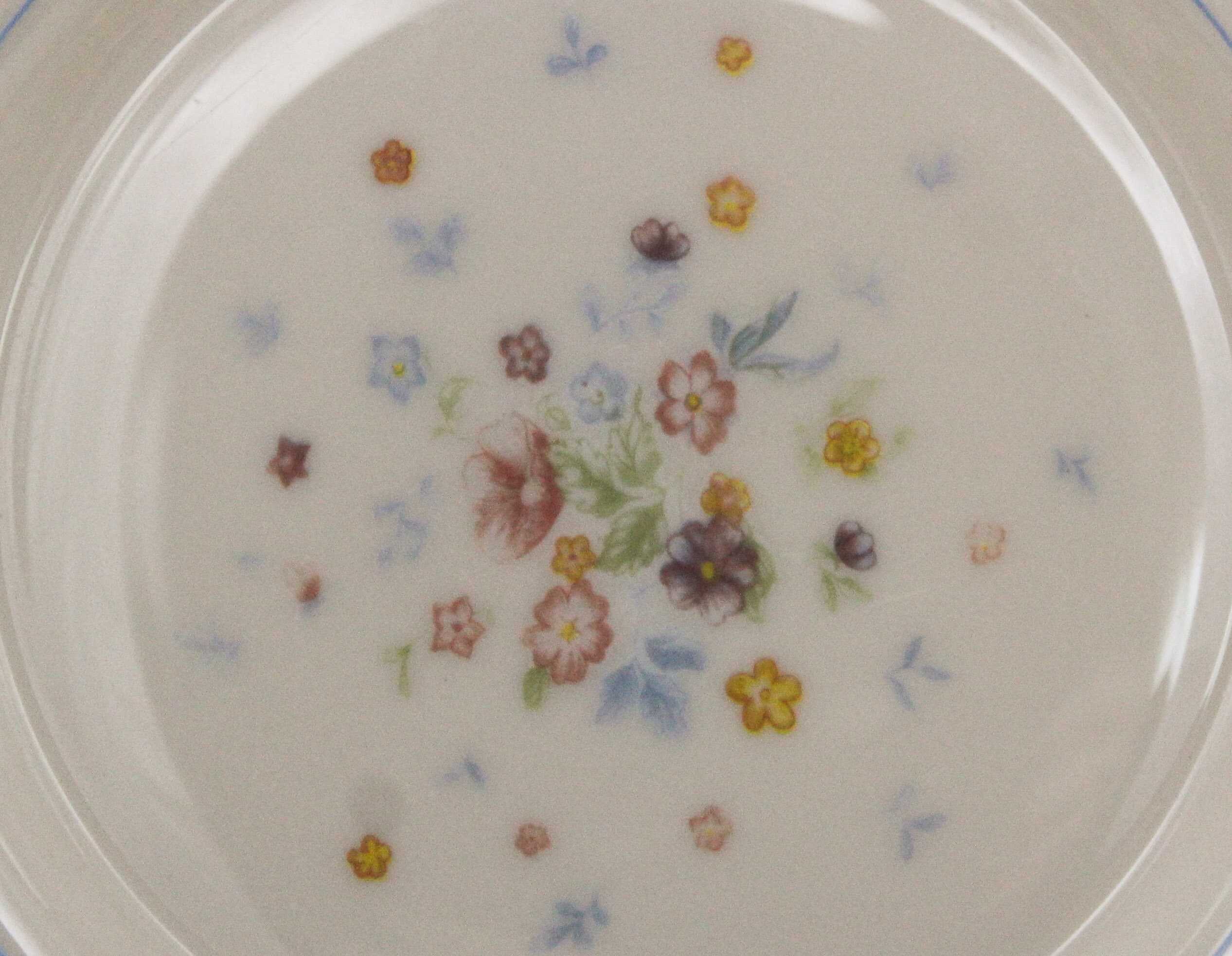 5 PLATS to french opaline dessert arcopal Victoria motif