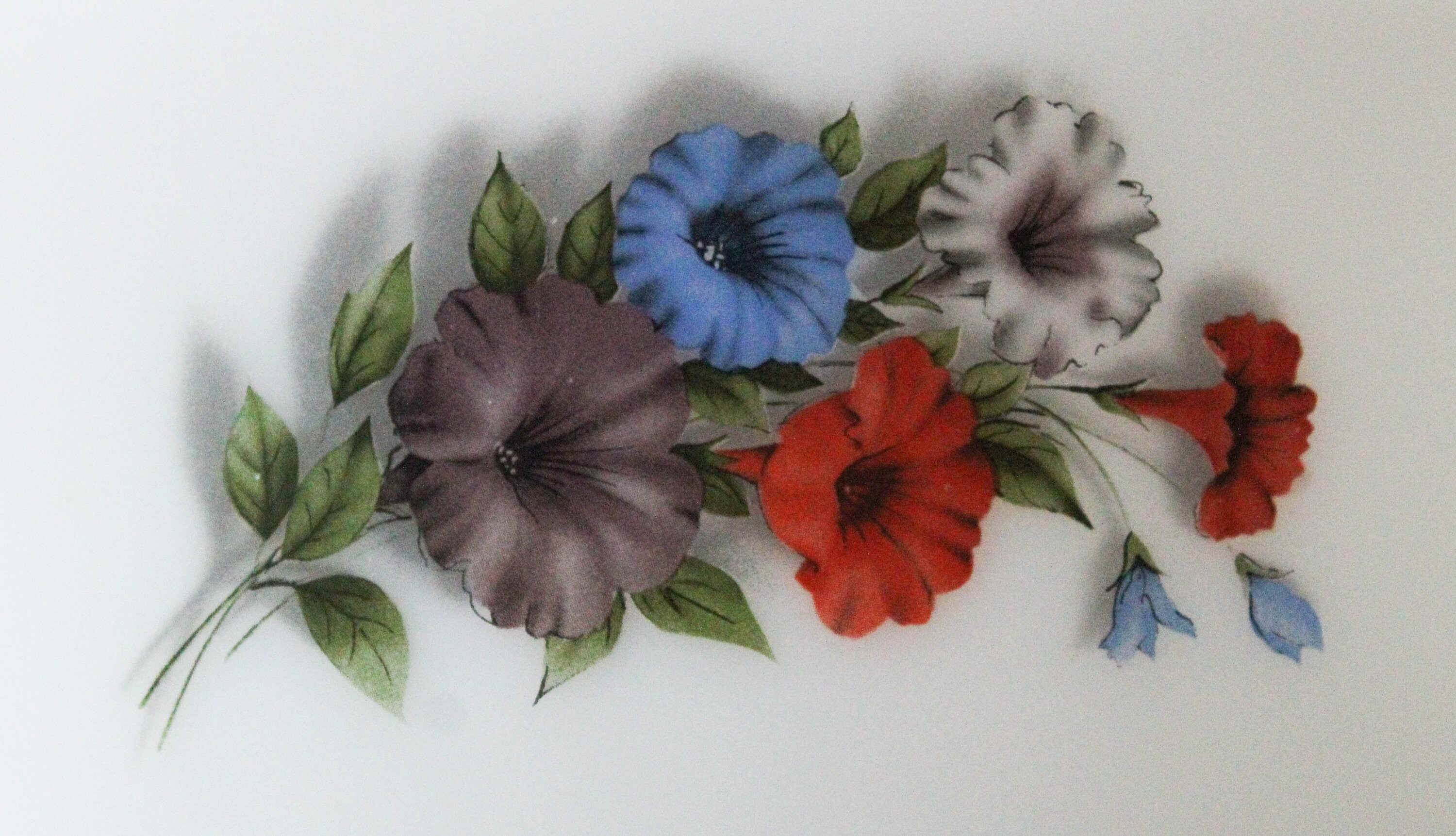 ARCOPAL casserole dish with lid, in tempered opal, volubilis pattern ...