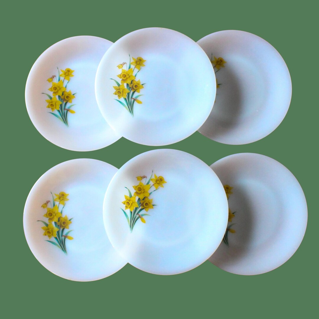 6 French Opaline Luminarc Flat Plates With Daffodil Motif, 1960 - Etsy