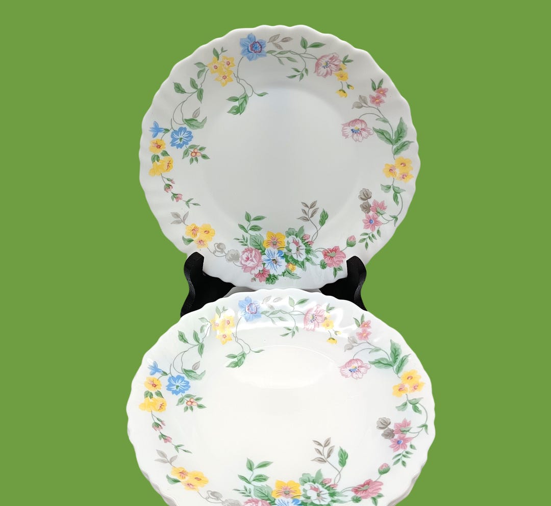 5 Arcopal France Opaline Dessert PLATES, Hortense Pattern - Etsy UK