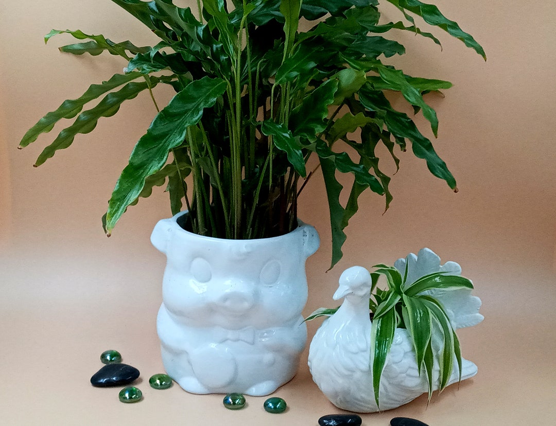 Vintage White CACHE POT, Zoomorphic Plant Holder, Pig, Dove France - Etsy