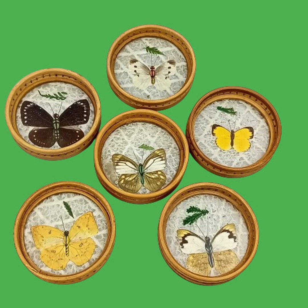 COASTERS in Bamboo Butterfly Decor 60s 70s Vintage, Shabby, Coasters ...