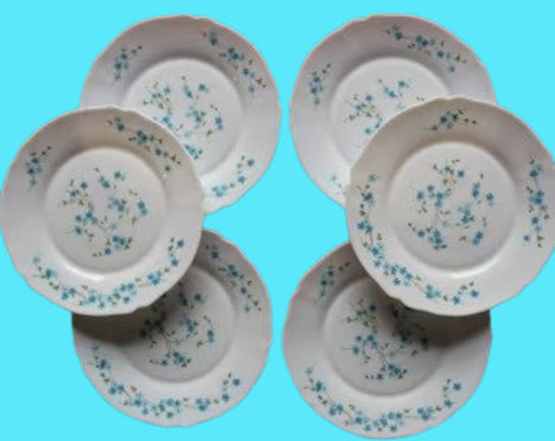 6 French Opaline Dessert PLATES Arcopal Forget-me-not Pattern - Etsy