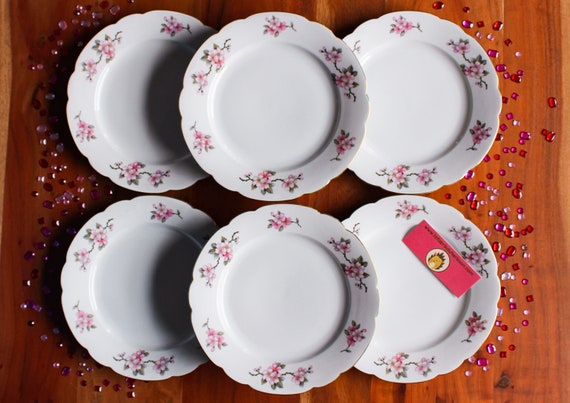 6 PLATES Dessert Porcelain Pattern Rosehips Vintage Seltmann - Etsy UK