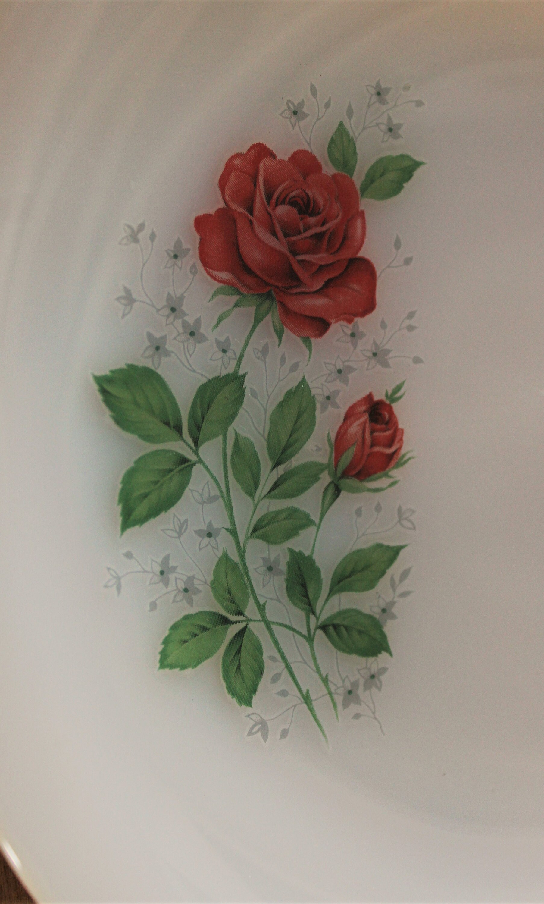 6 PLATES with French opaline dessert luminarc red pink pattern