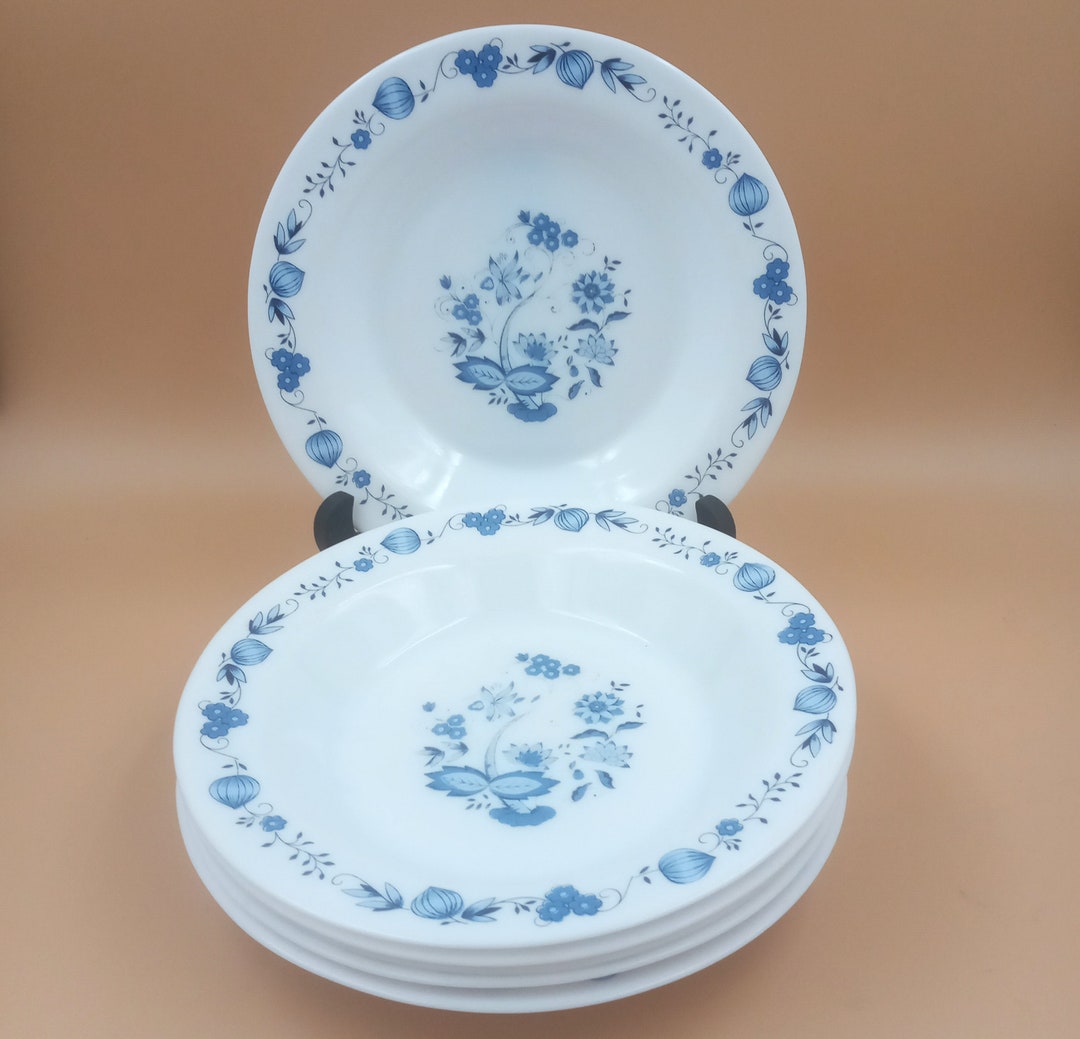 6 Arcopal HOLLOW PLATES in White Opaline Decorated ASTER Model - Etsy