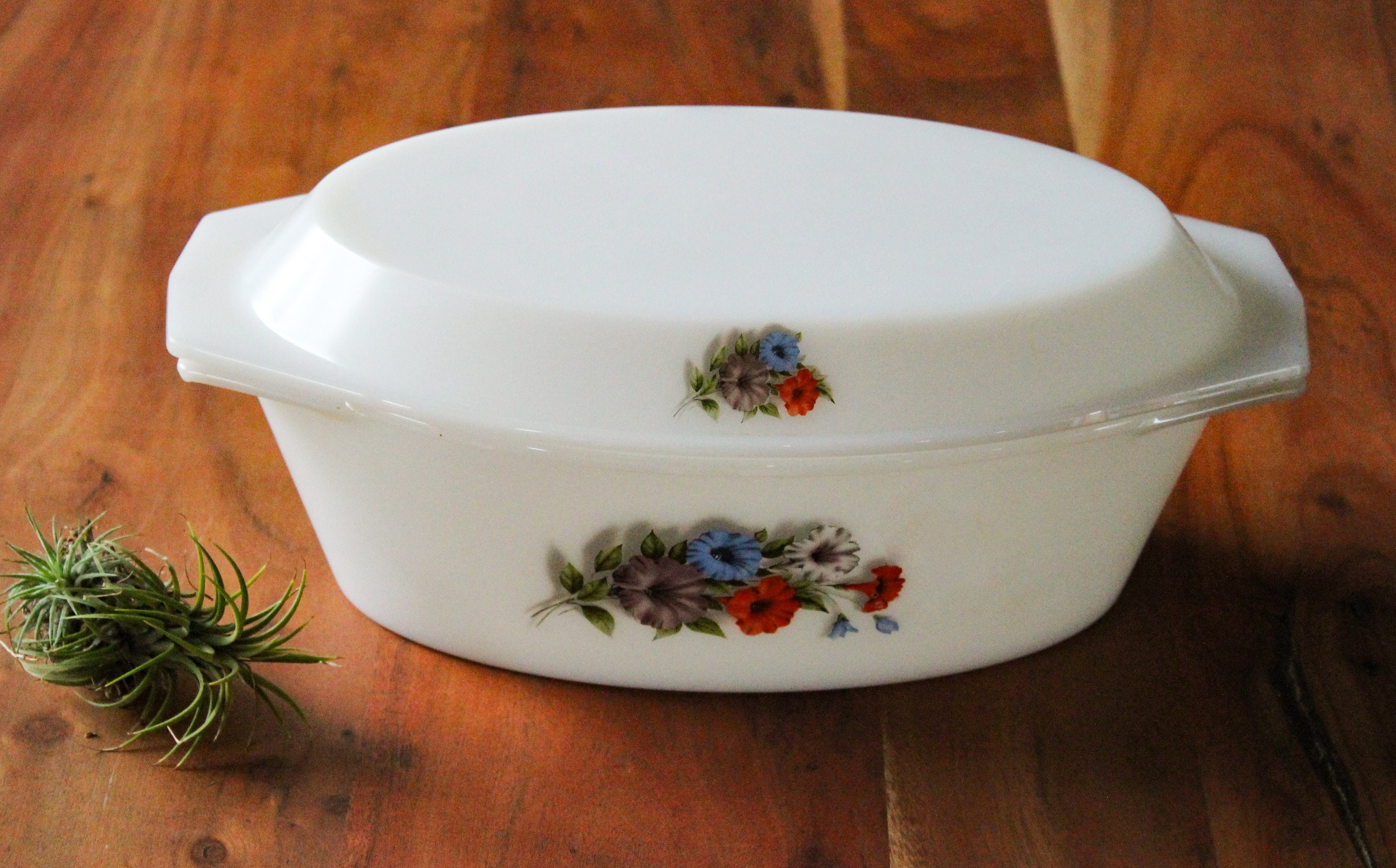 ARCOPAL casserole dish with lid, in tempered opal, volubilis pattern ...