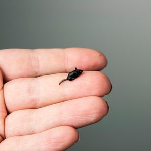 Two cute little mice 1/12 scale. Doll House Dioramas 1:12 | Etsy