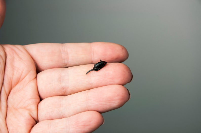 Two cute little mice 1/12 scale. Doll House Dioramas 1:12 | Etsy