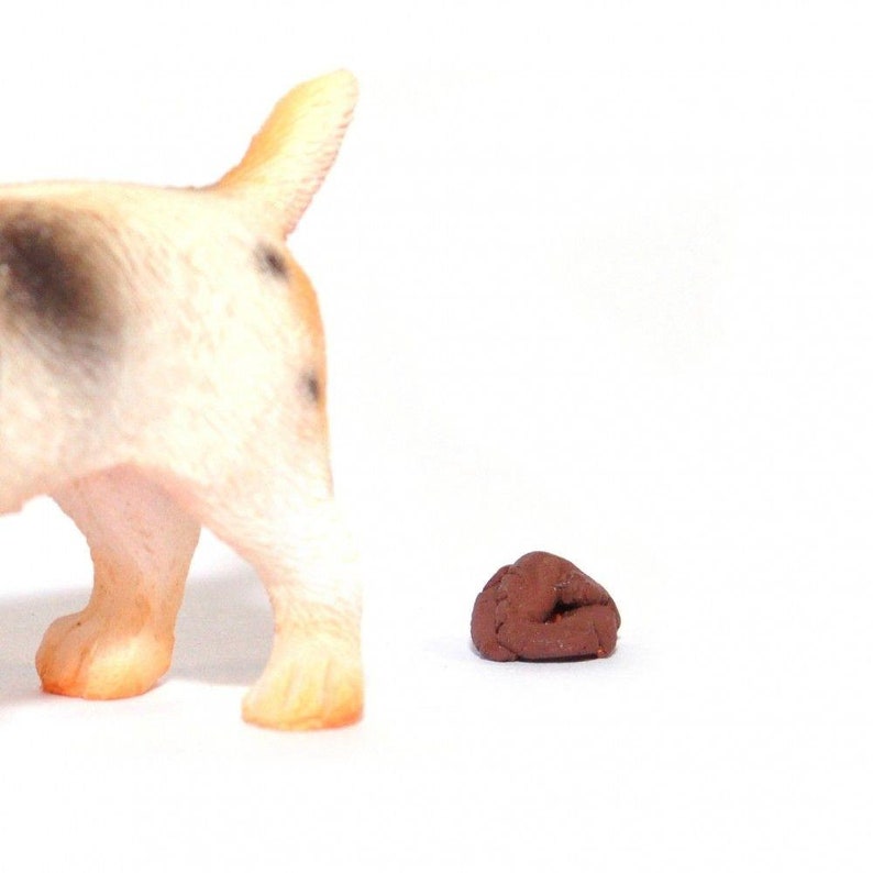 Dolls House Fake Dog Poo Poop Miniature 1:12 Pet Garden - Etsy