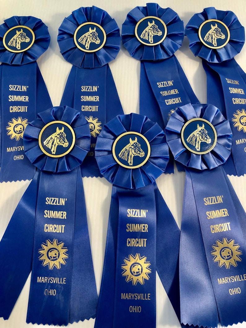 Vintage Rosette Horse Ribbons, Sold Separately, Equestrian Show Ribbon ...