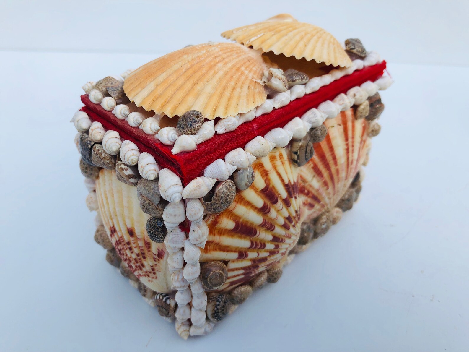 Vintage Shell Set Shell Trinket Box and Shell Tidbit Tray | Etsy