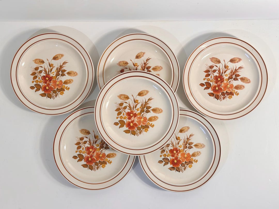 Vintage 1970s Floral Stoneware Plates, Set of 6, Orange + Brown Flower ...