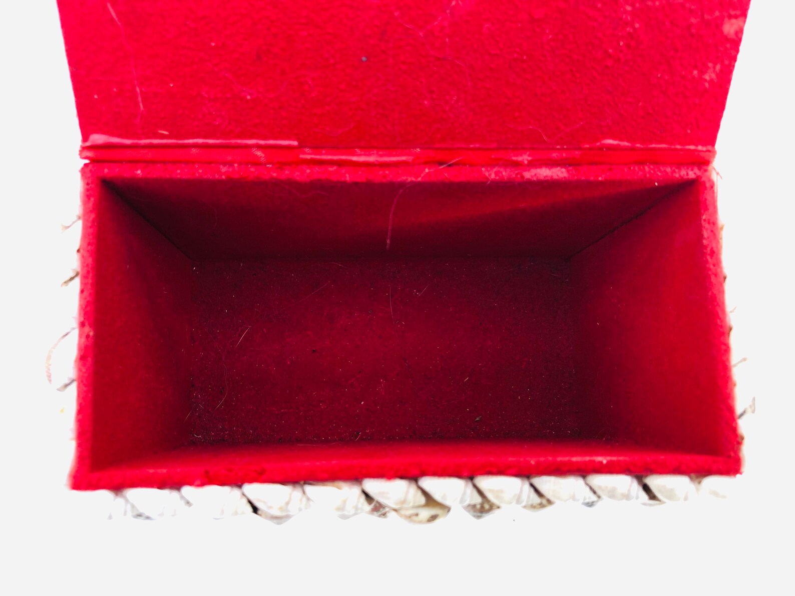 Vintage Shell Set Shell Trinket Box and Shell Tidbit Tray | Etsy