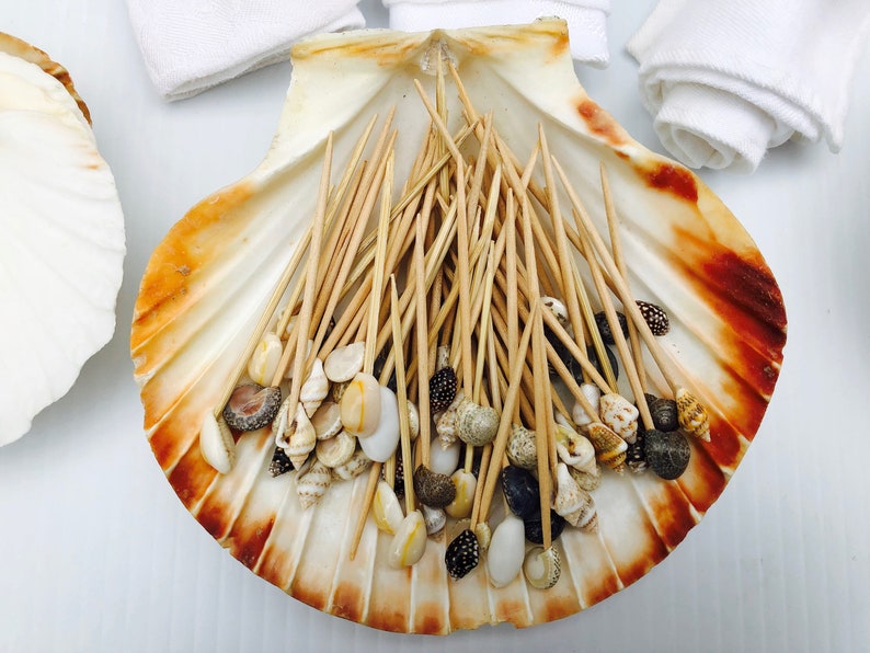 Vintage Authentic Shell Serving Set 95 Piece Set Includes - Etsy